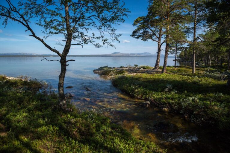 Parc national de Femundsmarka : la grande nature sauvage de canoë de ...