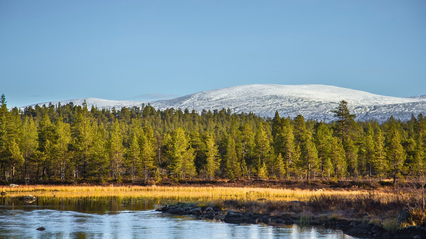 Parc national de Femundsmarka : la grande nature sauvage de canoë de ...